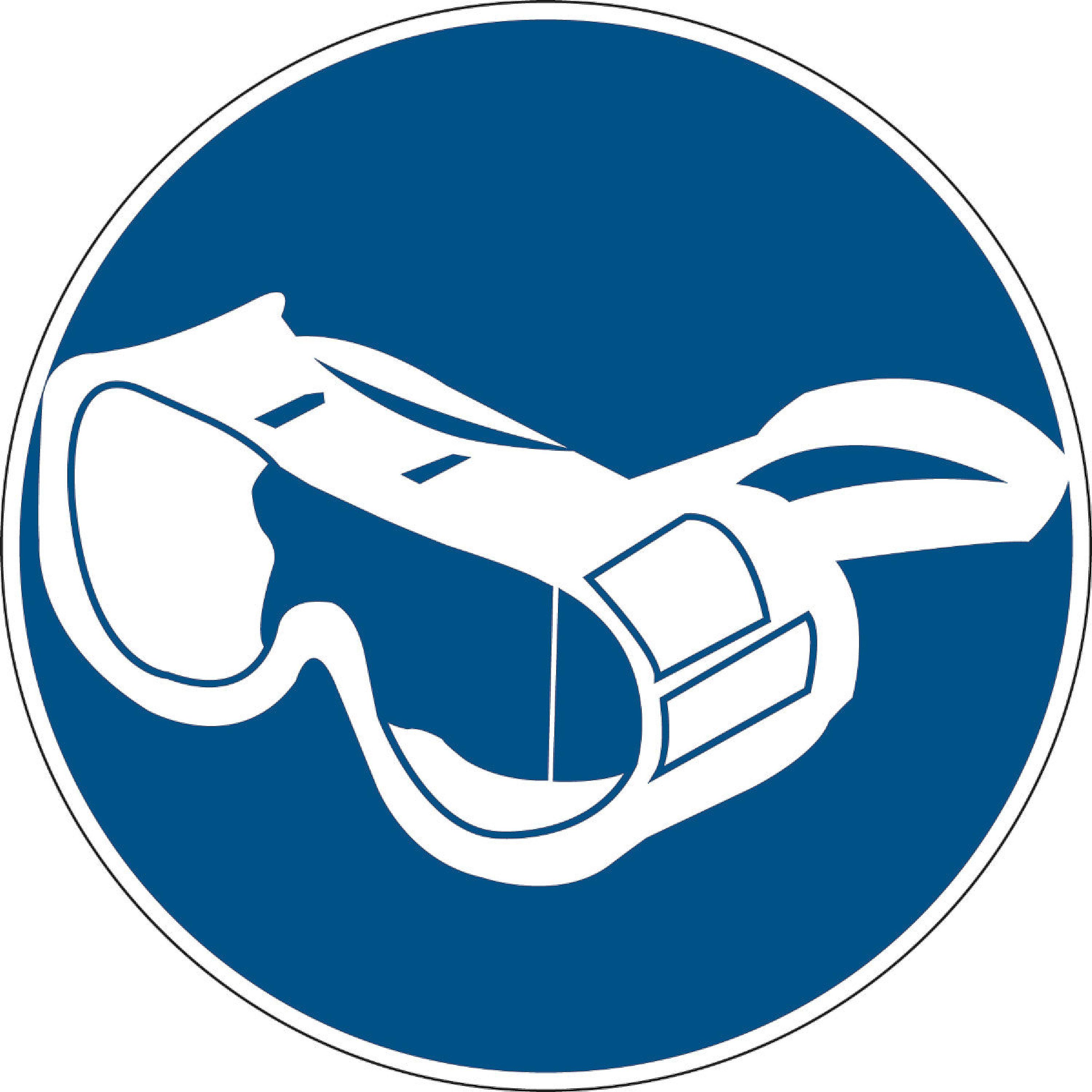 BRADY 803672 warning pictogram - goggles mandatory, 315 mm | Klium