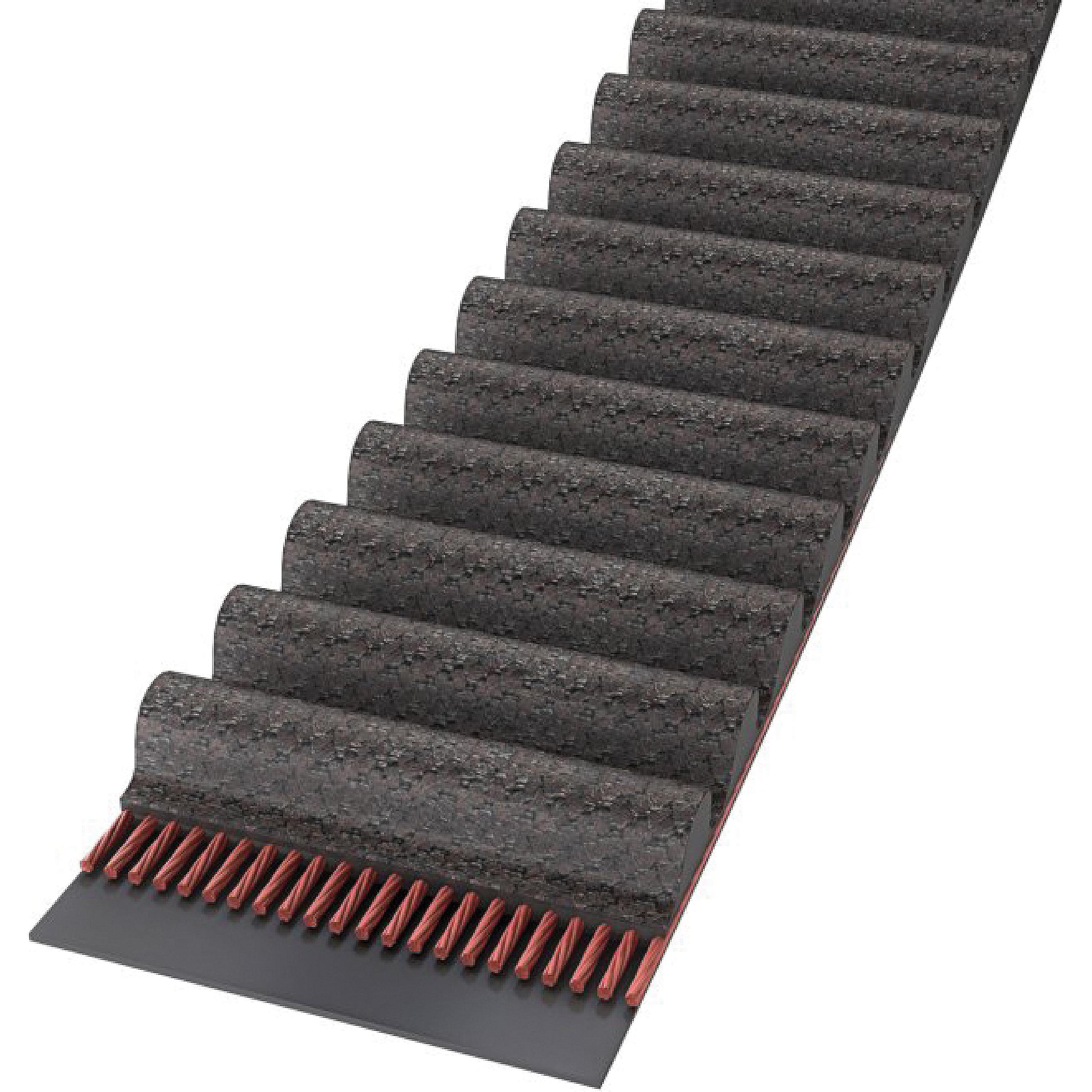 CONTI HTD 550 5M 25 CXP Conti Synchroforce CXP timing belt ...