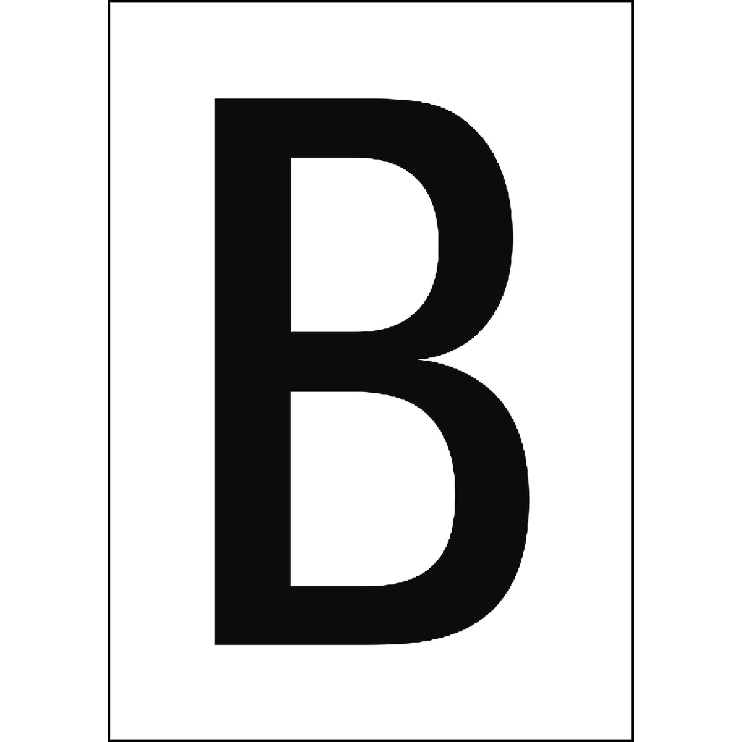 BRADY NL7541A4WH-B label with letter B - DIN A4 format for permanent or ...