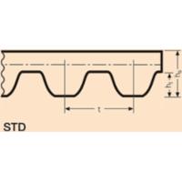 CONTI STD 800 S8M 20 CXP Conti Synchroforce CXP timing belt - STD880020CXP