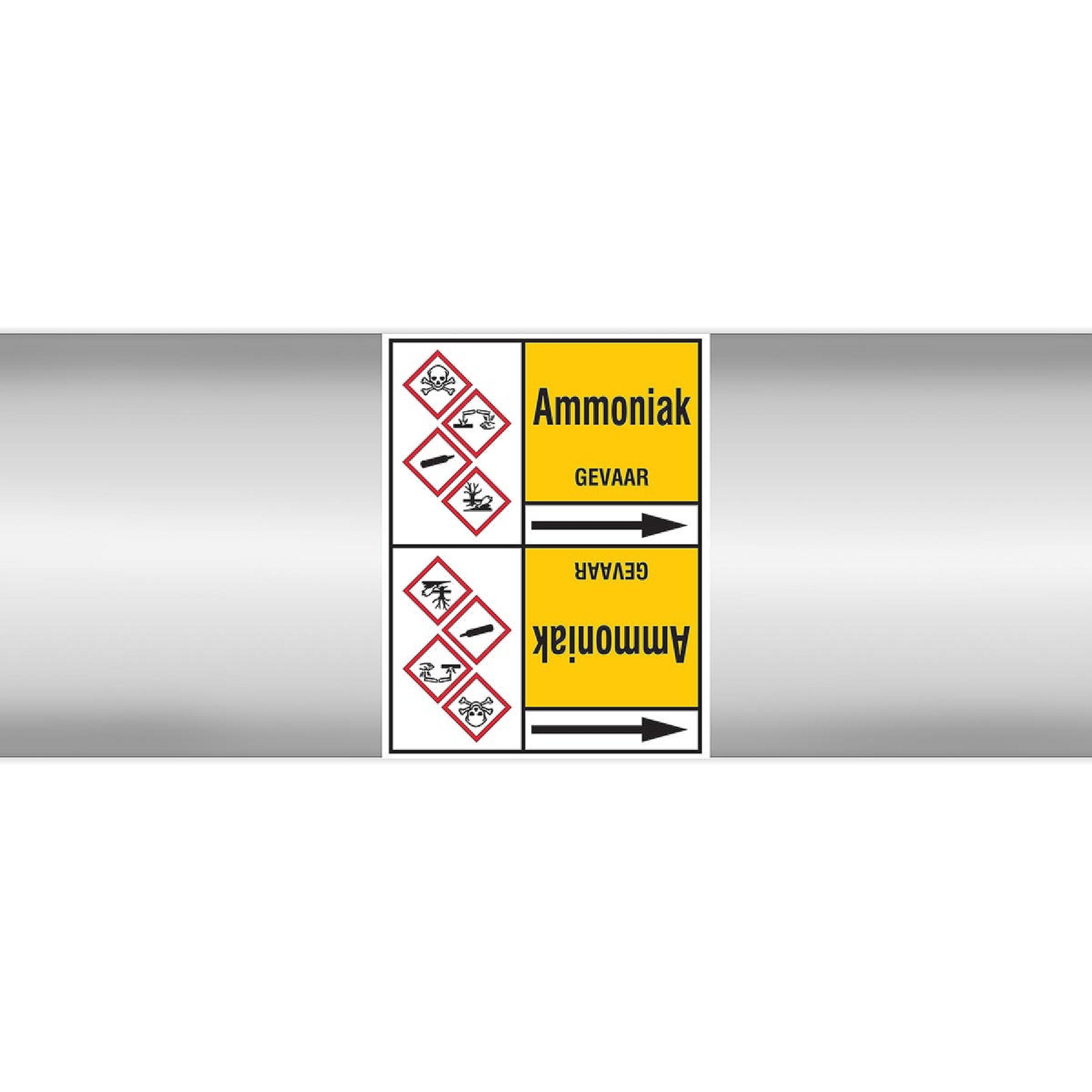 BRADY N004095 pipe marker for ammonia, with pictogram 33 m x 127 mm x ...